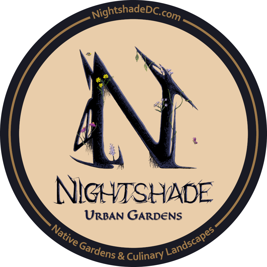About - Nightshade Urban Gardens